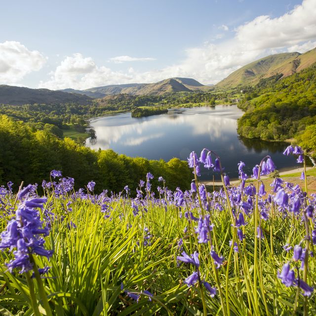 Spring in the UK: 3 spring activities to enjoy – Home County Co.