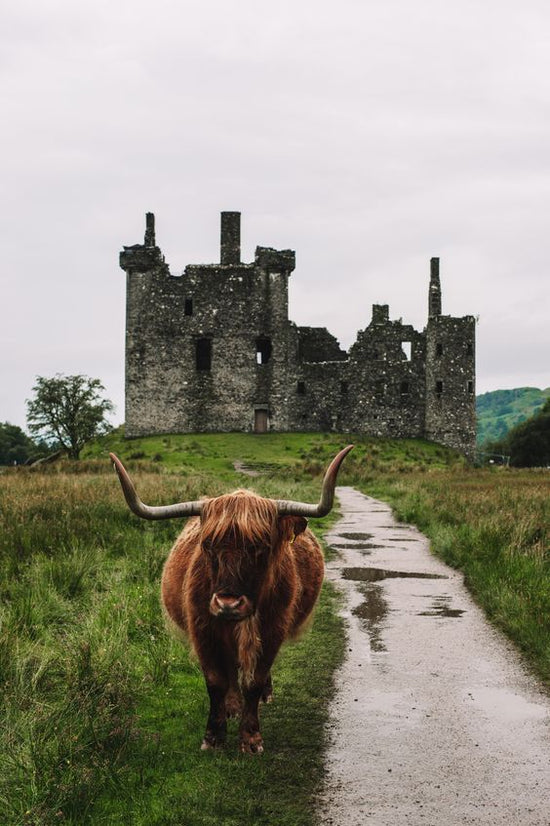 Home County Co. | Hand-poured Luxury British Home Fragrances